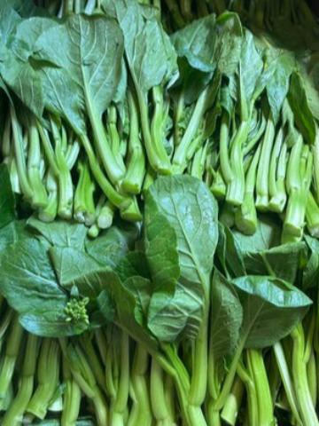 Yu Choy Miu – Nosh Delight