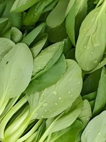 Shanghai Miu – Nosh Delight